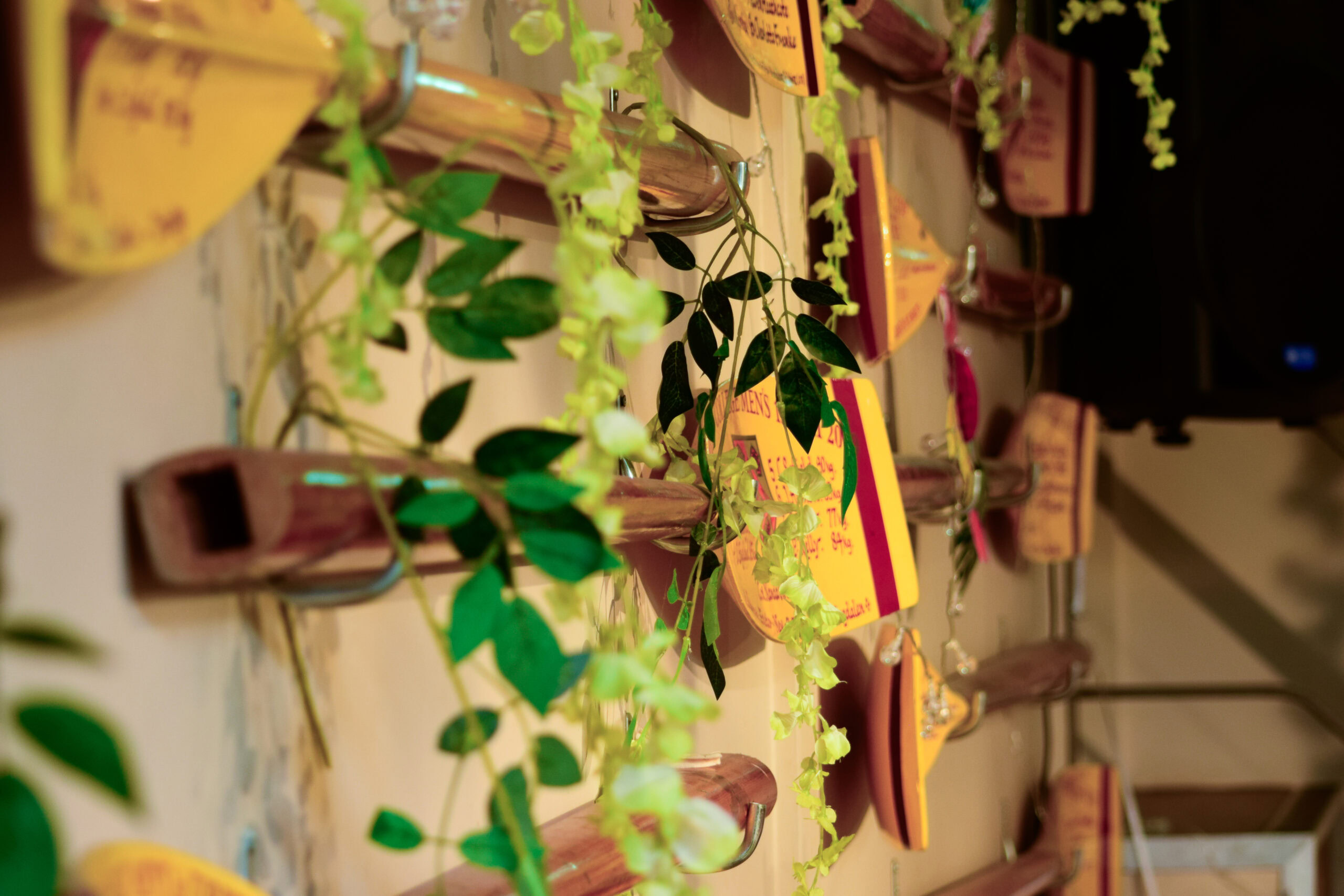 12. The Cellar Bar - Wolfson College